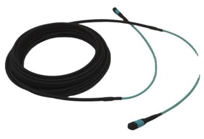 중국 30 센티미터 열과 24 핵심 MPO MTP OM4 5.5MM 두배 덮개 트렁크 케이블 판매용