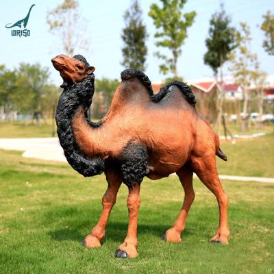 China Theme park decoration fiberglass animal camel statue for sale