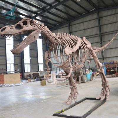 China Zigong artificial dinosaur fossil and skeleton for museum for sale
