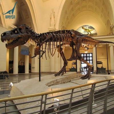 China Life Size T-rex Dinosaur Skeleton Model for Sale for sale