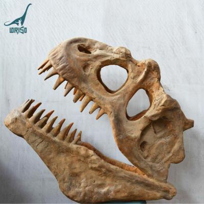 China Artificial Dinosaur Animals Skulls And Skeletons For Museum for sale