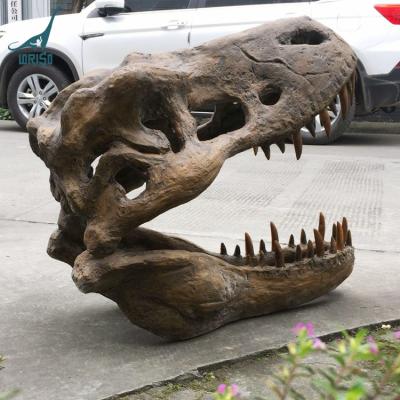China Life Size Dinosaur Skull Skeleton For Museum Exhibition for sale