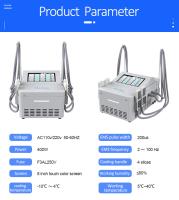 China Multifunctional Cryolipolysis Fat Freezing Machine With 8 Inch Touch Screen for sale