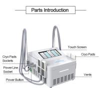 China Multifunctional Cryolipolysis Fat Freezing Machine With 8 Inch Touch Screen for sale