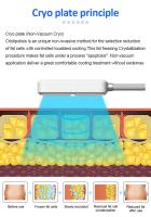 China Multifunctional Cryolipolysis Fat Freezing Machine With 8 Inch Touch Screen for sale