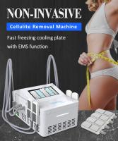 China Multifunctional Cryolipolysis Fat Freezing Machine With 8 Inch Touch Screen for sale