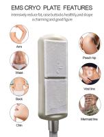 China Multifunctional Cryolipolysis Fat Freezing Machine With 8 Inch Touch Screen for sale