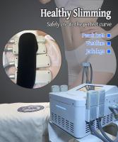 China Multifunctional Cryolipolysis Fat Freezing Machine With 8 Inch Touch Screen for sale