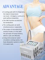 China Multifunctional Cryolipolysis Fat Freezing Machine With 8 Inch Touch Screen for sale