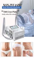 China Multifunctional Cryolipolysis Fat Freezing Machine With 8 Inch Touch Screen for sale