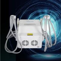 China Multifunctional Cryolipolysis Fat Freezing Machine With 8 Inch Touch Screen for sale