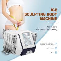 China Multifunctional Fat And Cellulite Reduction Machine With 8 Cryo Pads for sale