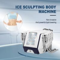 China Multifunctional Fat And Cellulite Reduction Machine With 8 Cryo Pads for sale