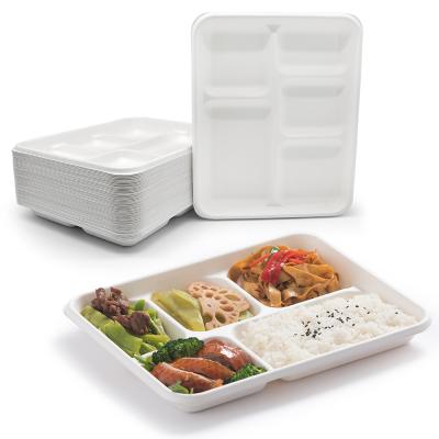 China Compostable Biodegradable Within 90 Days Sugar Cane Bagasse Plate 5 Compartment Trays 21x26cm Biodegradable and Compostable for sale
