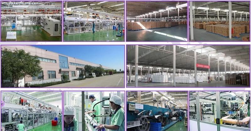 검증된 중국 공급업체 - Tianjin Wholesome Hygiene Products Co.,Ltd.