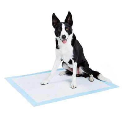 Cina Pad in cotone monouso personalizzato per l' addestramento di animali domestici Wee Wee Pad in colore in vendita
