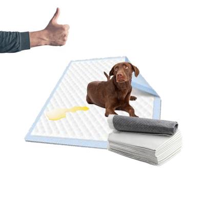 Cina Pad in cotone monouso personalizzato per l' addestramento di animali domestici Wee Wee Pad in colore in vendita