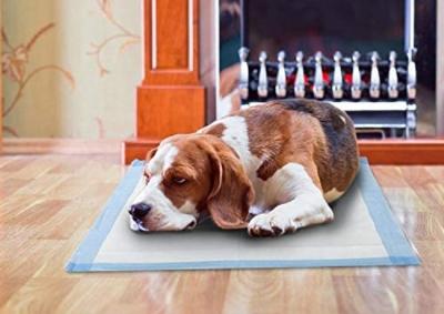 Cina Pad per l'incontinenza, coperture da letto e pad per l'addestramento dei cuccioli con campioni offerti gratuitamente in vendita