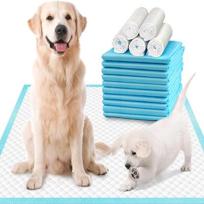 Cina Pad per cani personalizzati con Sandia o Sumitomo SAP e 3D Leak Prevention in vendita