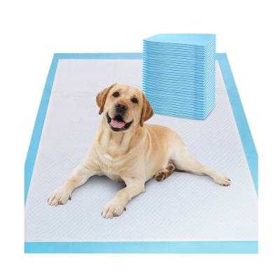 中国 無料で提供されるサンプルOEM/ODM ペット トイレの小便パッド 子犬の訓練と睡眠 販売のため