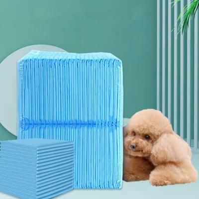 Cina Prodotti di addestramento per animali blu/bianco/verde/nero/grigio in vendita