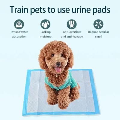 Cina Super assorbente Pet Pee Pad Puppy Training Pads Pad di pannolino usa e getta per cani in vendita
