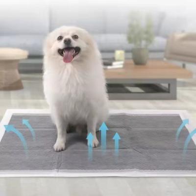 Cina Cuccioli di addestramento per animali domestici Piss Pad con Sandia o Sumitomo SAP e colore personalizzato in vendita