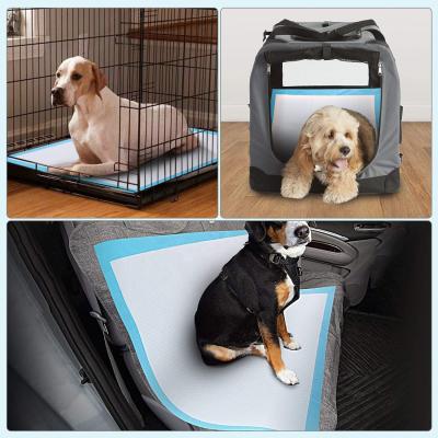 Cina Cuccioli di addestramento per animali domestici Piss Pad con Sandia o Sumitomo SAP e colore personalizzato in vendita