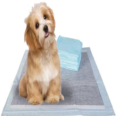 Cina Disposable Friendly Pet Training e Puppy Underpad ad alta assorbibilità idrica Pad per cani in vendita