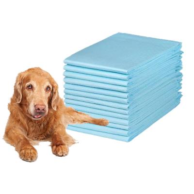 Cina Dimensioni personalizzate campioni gratuiti Pad di addestramento per animali da compagnia usa e getta per l'addestramento del cucciolo in vendita