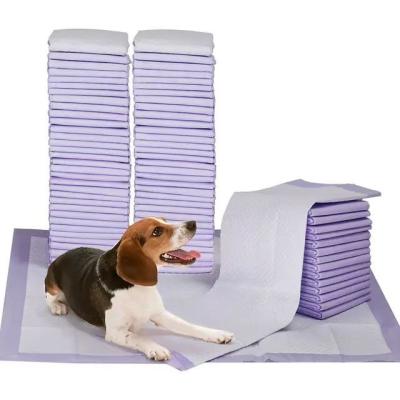 Cina Dimensioni personalizzate campioni gratuiti Pad di addestramento per animali da compagnia usa e getta per l'addestramento del cucciolo in vendita
