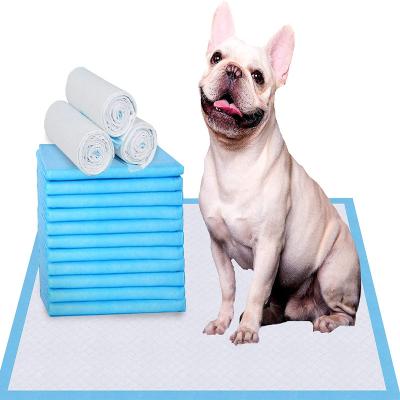 Cina Prodotti per l'addestramento degli animali domestici con certificato CE ISO in vendita