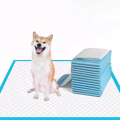 Cina Pad di addestramento per animali da compagnia monouso a 5 strati blu per cani piccoli/medi/grandi Superassorbente in vendita