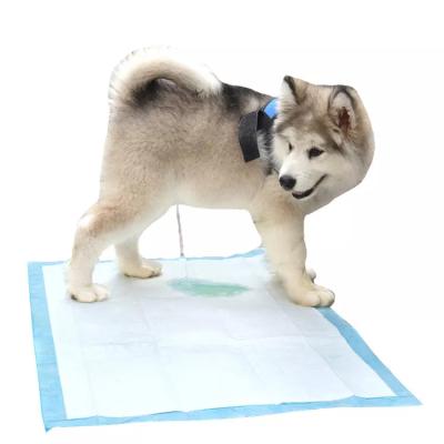 Cina Pad per l'addestramento delle piscine per animali domestici per cani Pad urinario usa e getta per animali domestici con assorbente di superficie secca in vendita