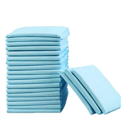 China Small Animals Pet Training Pad for Urine Absorption and Agility Training for sale