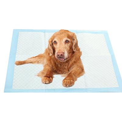 Cina Cane per animali domestici Pad di urina Animali piccoli Lunghezza X Larghezza mm 600X350 600X450 600X600 900X600 in vendita