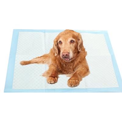 Cina Servizio OEM supportato addestramento del cucciolo per cani per animali domestici con fibre e tipo di oggetto in vendita