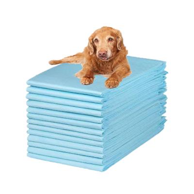 Cina Pad per l'urina per animali domestici usa e getta con capacità assorbente di 100-2000 ml, pulizia rapida e facile in vendita