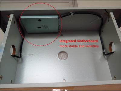 Cina Passeggiata impermeabile di Outdooor con del metal detector dell'allarme la calibratura accurata automaticamente in vendita