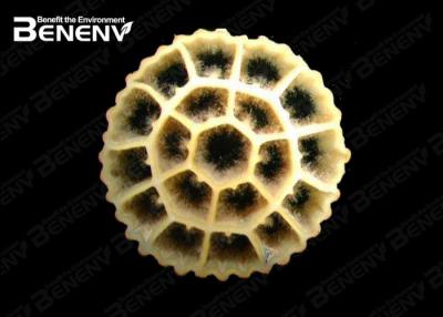 Cina Dei trasportatori 10 - 20 di biofilm di denitrificazione MBBR di nitrificazione biomassa G/M2 in vendita