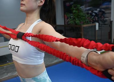 Cina 8 parole per tirare la corda per braccia, spalle, schiena, allenamento muscolare toracico in vendita