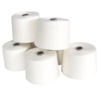 China High Strength Micro Polyester Ne30/1 Vortex Yarn for Weaving / Knitting Raw White MVS for sale