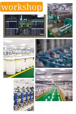 Cina 100% viscoso Ne30/1 Siro Compact Spun Yarn ideale per applicazioni di tessitura e maglieria in vendita