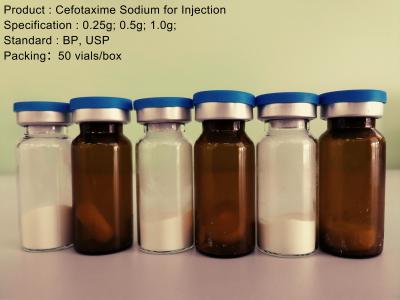 China 0.25g - 1.0g Cephalosporin Antibiotic / Cefotaxime Sodium for Injection for sale