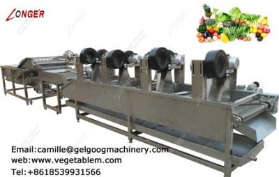 China High efficient stainless steel fruit and vegetale washing and drying line for sale