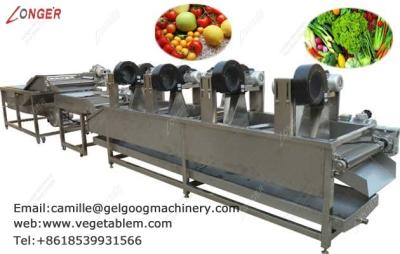 China Hot sale automatic  fruit and vegetable washing and drying machine line for sale
