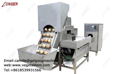 China Onion Root Cutting and Peeling Machine|Onion Processing Equipment for Hot Sale for sale