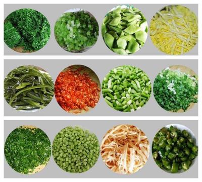 China Automatic Fruit Cutting Machine|Vegetable Cutter Machine Low Price for sale