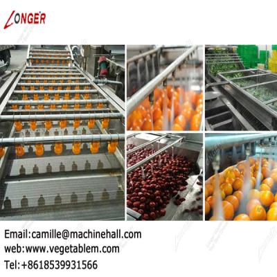 China Automatic Fruit and Vegetable Washing Equipment|Dates Processing Plant for sale