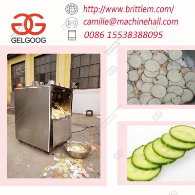 China New Stainless Steel Fruit and Vegetable Slicer Machine Manufacturer in China for sale